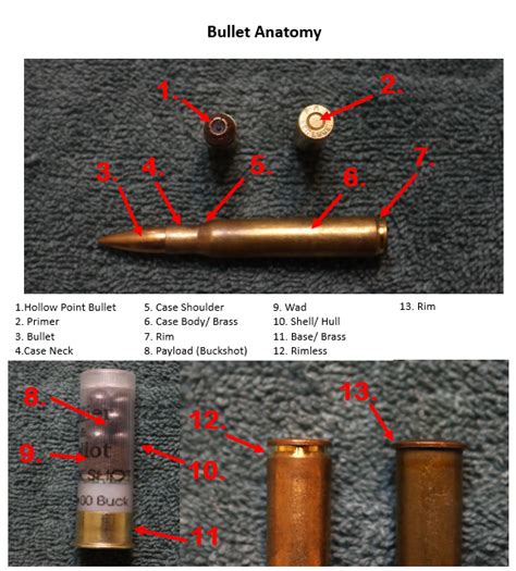 The Complete Firearms Primer For Uk Preppers Start Prepping Uk