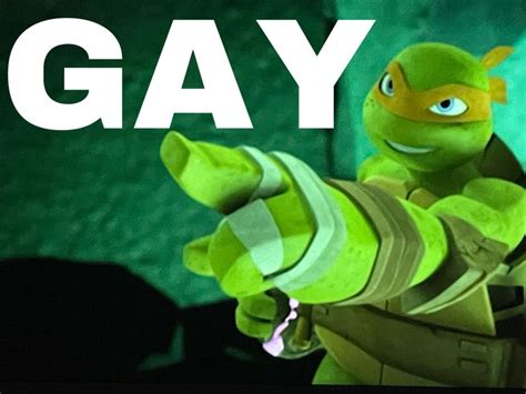 🤨🏳️‍🌈🫵 Ninja Turtles Funny Leonardo Tmnt Tmnt