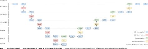 Figure 2 From Validation Of Automated Artificial Intelligence Segmentation Of Optical Coherence