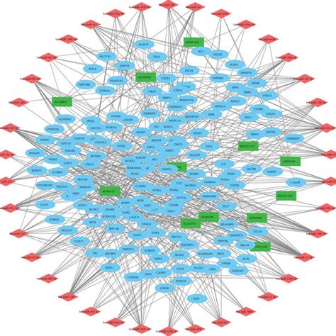 Analysis Of Immune Cell Infiltration By The Cibersort Algorithm A Download Scientific