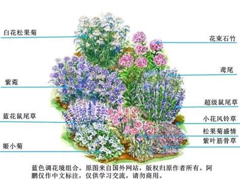 花境设计平面图 花境效果图 植物配置平面图手绘 第2页 大山谷图库