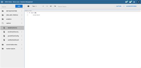 Manual Setup Advanced Dhis2 Developer Portal