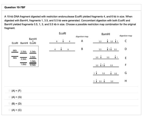 Solved A 10 Kb Dna Fragment Digested With Restriction