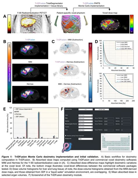 Machine Learning Enhanced Patient Specific Dosimetry Automatic