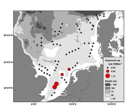 Mercator Projection System Grid Problem Grid False On Qgis But Right On Arcgis Geographic