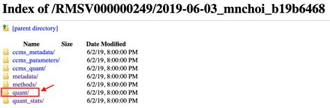 Download Files Massive Documentation