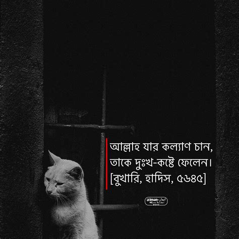 Iman ایمان 🖤 Facebook