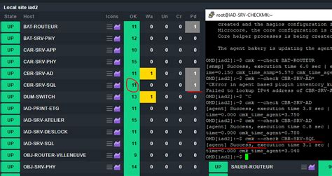Some Hosts Are With All Or Some Services In Pending State