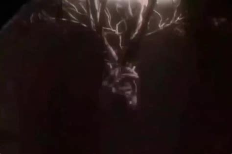 Inthiyaz Shaik On Linkedin Worldheartday Hearthealth Healthyliving