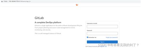 使用docker搭建gitlab服务器docker搭建git服务器 Csdn博客