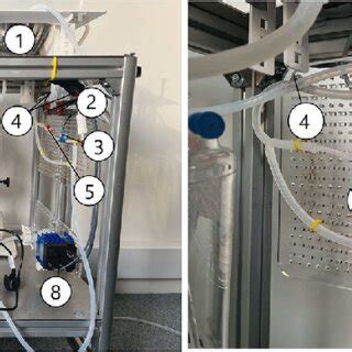 Figure Shows The Organ Perfusion System Platform Organ Chamber Download Scientific