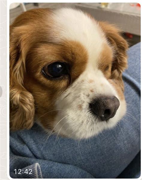 נכון זה כנראה לא המקום אבל יש פה הרבה אנשים שאולי נצליח יחד למצוא בית