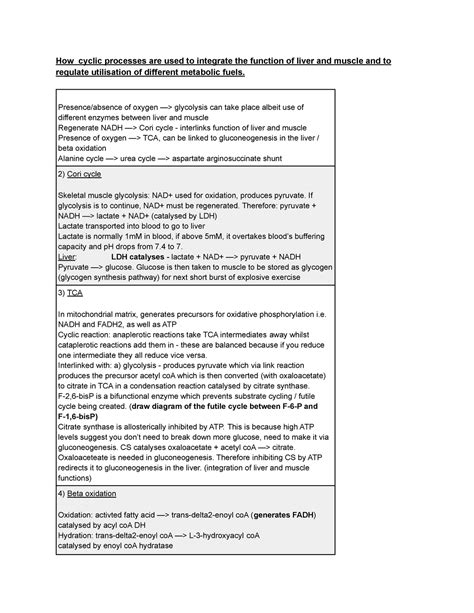 9 How Cyclic Processes Are Used To Integrate The Function Of Liver And Muscle And To Regulate