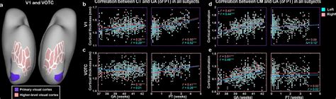 Development Of Visual Cortex In Human Neonates Is Selectively Modified By Postnatal Experience