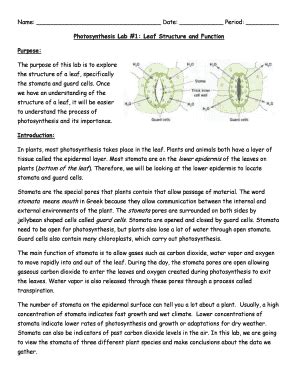 Leaf Structure Lab Complete With Ease AirSlate SignNow