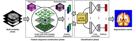 Github Shakex Mr Brain Tissue Segmentation [icip19] Lstm Ma A Lstm Method With Multi