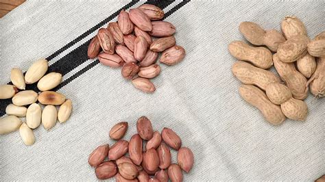 땅콩버터 만들기