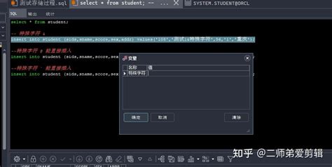 Oracle 中插入数据时有特殊符号（ And `） 知乎