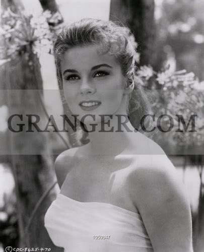 Image Of Ann Margret Circa 1961 Columbia Pictures Full Credit Cinema
