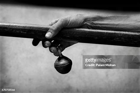 Pictures And Photos Getty Images