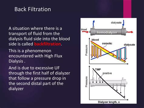 Basic Principles Of Hemodialysis Final Pptx