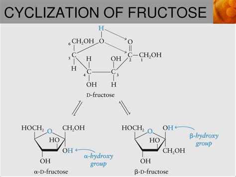 Ppt Important Functions Of Carbohydrates Powerpoint Presentation