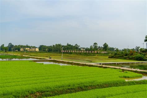 Premium Photo Idyllic Scenery Rice Terraces In Rural Chinachinese