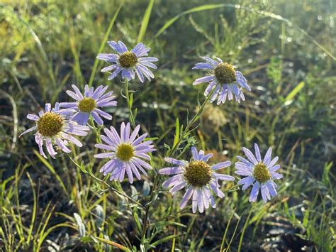 Хими Биологийн багш нар Facebook