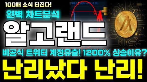 알고랜드 코인전망 완벽 차트분석 비공식 트위터 계정유출 1200 상승이유 난리났다 난리 빠르게 확인 하세요 알고