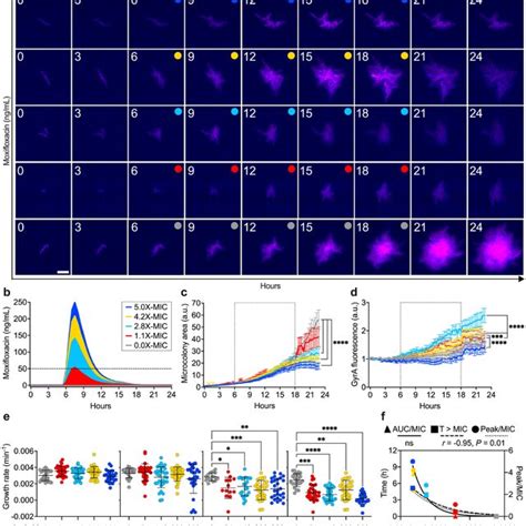 Operating Principle And Validation Of The Microfluidic Culture Chamber