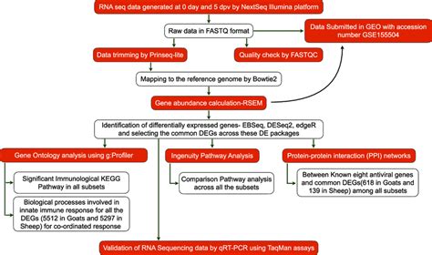 Workflow For Rna Sequencing Data Analysis Download Scientific Diagram