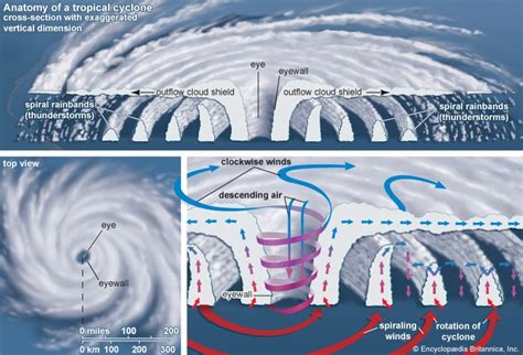 Tropical Cyclone Formation Paths Impacts Britannica