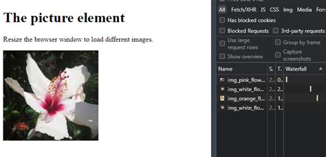 Html Does The Server Send More Than 1 Images To Tag With Fallback