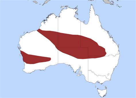 Woma Python Facts Diet Habitat And Pictures On Animaliabio Woma Python Facts Diet Habitat And Pictures On Animaliabio