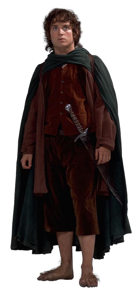 Frodo Lord Of The Rings Full Body