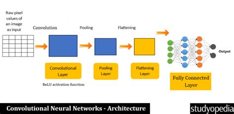Convolutional Neural Networks Cnn Studyopedia