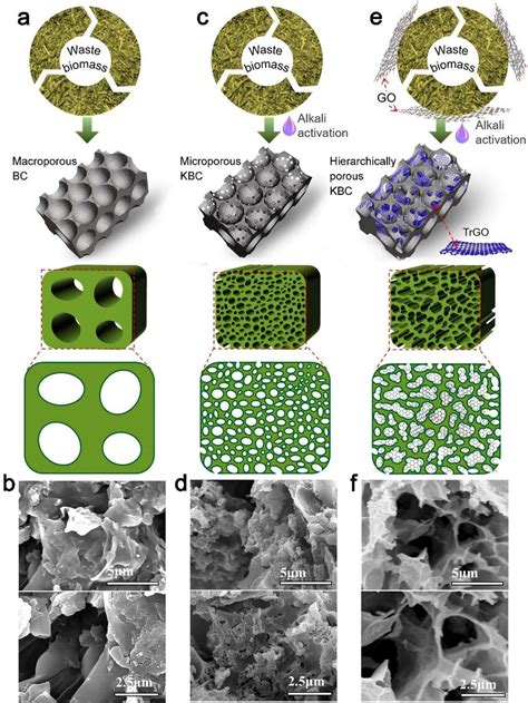 Regulating The Porous Structure Of Biochar Based Adsorbents Derived Download Scientific Diagram