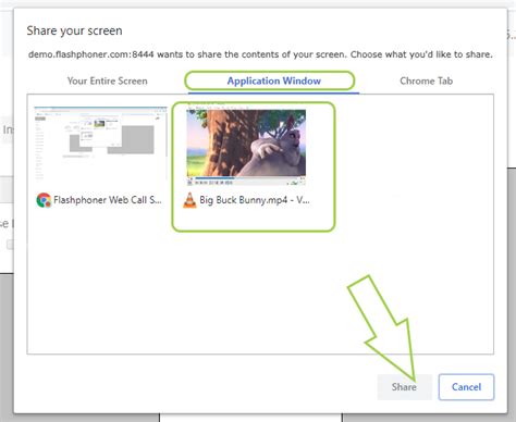 Testing A Screen Sharing From A Browser Flashphoner Streaming And Calls