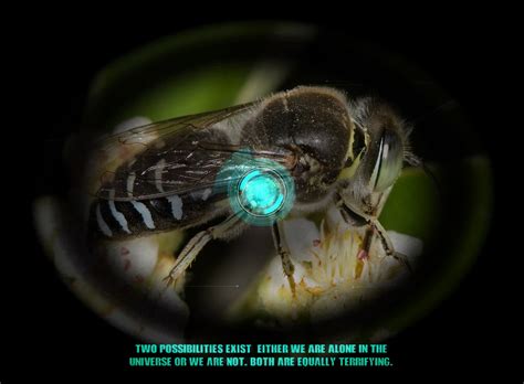 Cool Loading Screen For Unity 3d