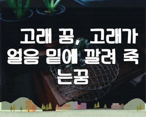 고래 꿈 고래가 얼음 밑에 깔려 죽는꿈