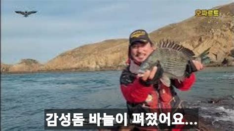 던지면 물어버리는 상태도 넙적 슬픈여 2부 바늘이 펴졌어요 Youtube