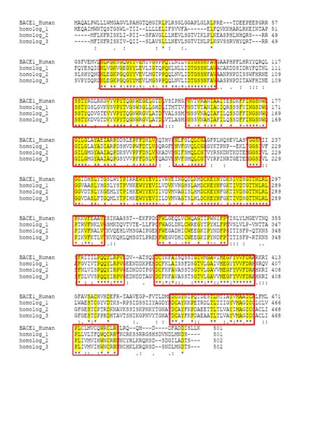 Aligned Sequences Pdf Technology And Engineering