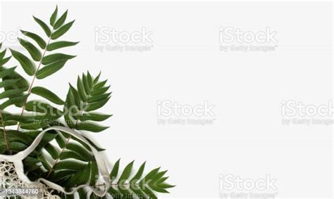 흰색 배경에 재사용 가능한 쇼핑백이 있는 녹색 잎 복사 공간이 있는 제로 폐기물 개념 0에 대한 스톡 사진 및 기타 이미지 0 가방 구조 Istock