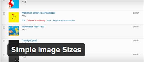 How To Resize And Add Custom Image Sizes In WordPress TheCMSPlace