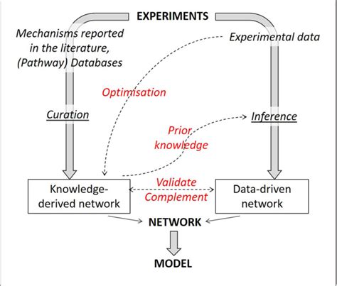Figure 1 From Computational Modeling And Reverse Engineering To Reveal