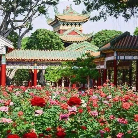 五一假期，在番禺来一场赏花游吧~上万朵玫瑰花等你来哟~游客莲花山旅游区