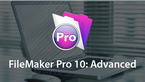 Filemaker Pro 10 Beginner Intermediate And Advanced Bundle