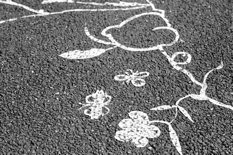 무료 이미지 나무 분기 검정색과 흰색 건축물 화이트 거리 조직 잎 도시의 아스팔트 포장 꽃 무늬의 장식 선 색깔 자연스러운 흙 페인트