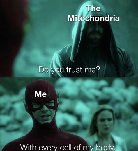 i love python r pythonforengineers