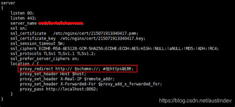 自定义k8s Nginx Ingress 重定向配置proxy Redirect From Csdn博客